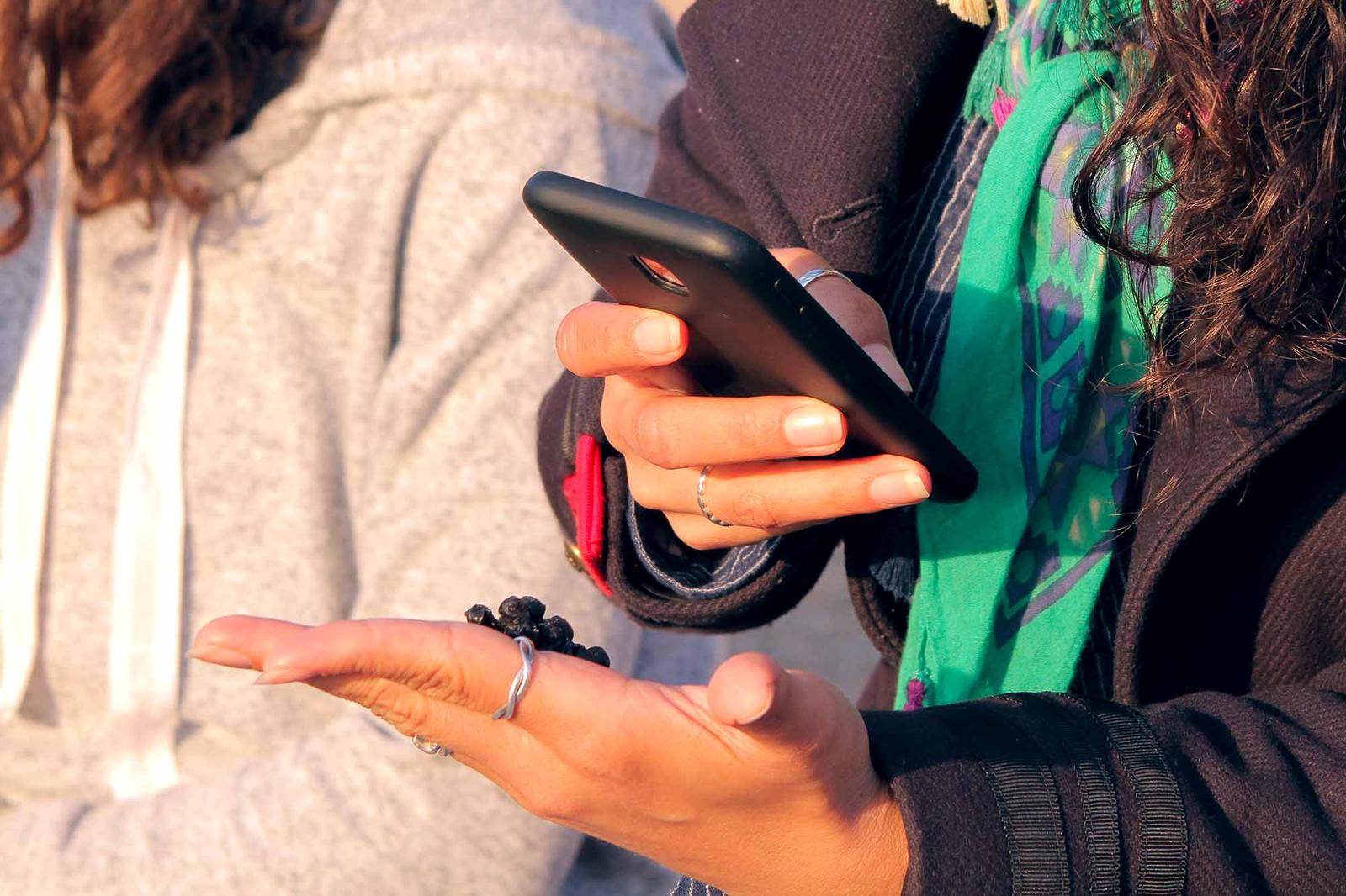 Des tutos pour vous guider sur BioLit - Biolit