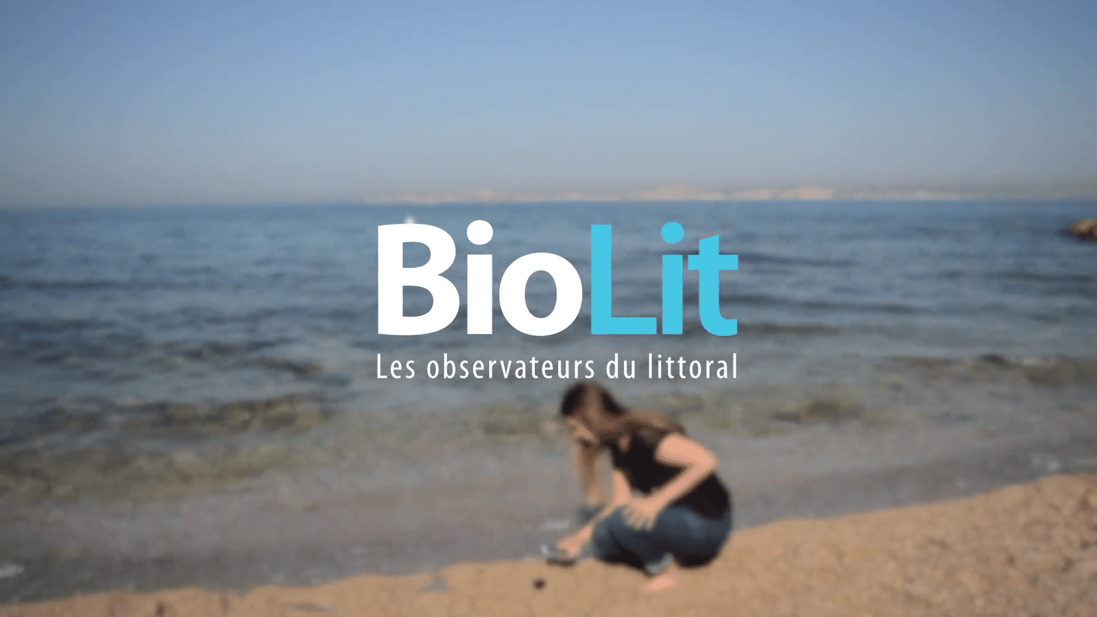 Explorez le littoral, avec BioLit - Biolit